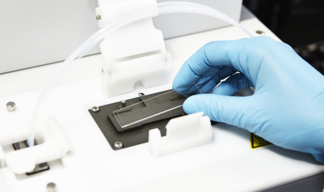 Massive Sequencing by Illumina